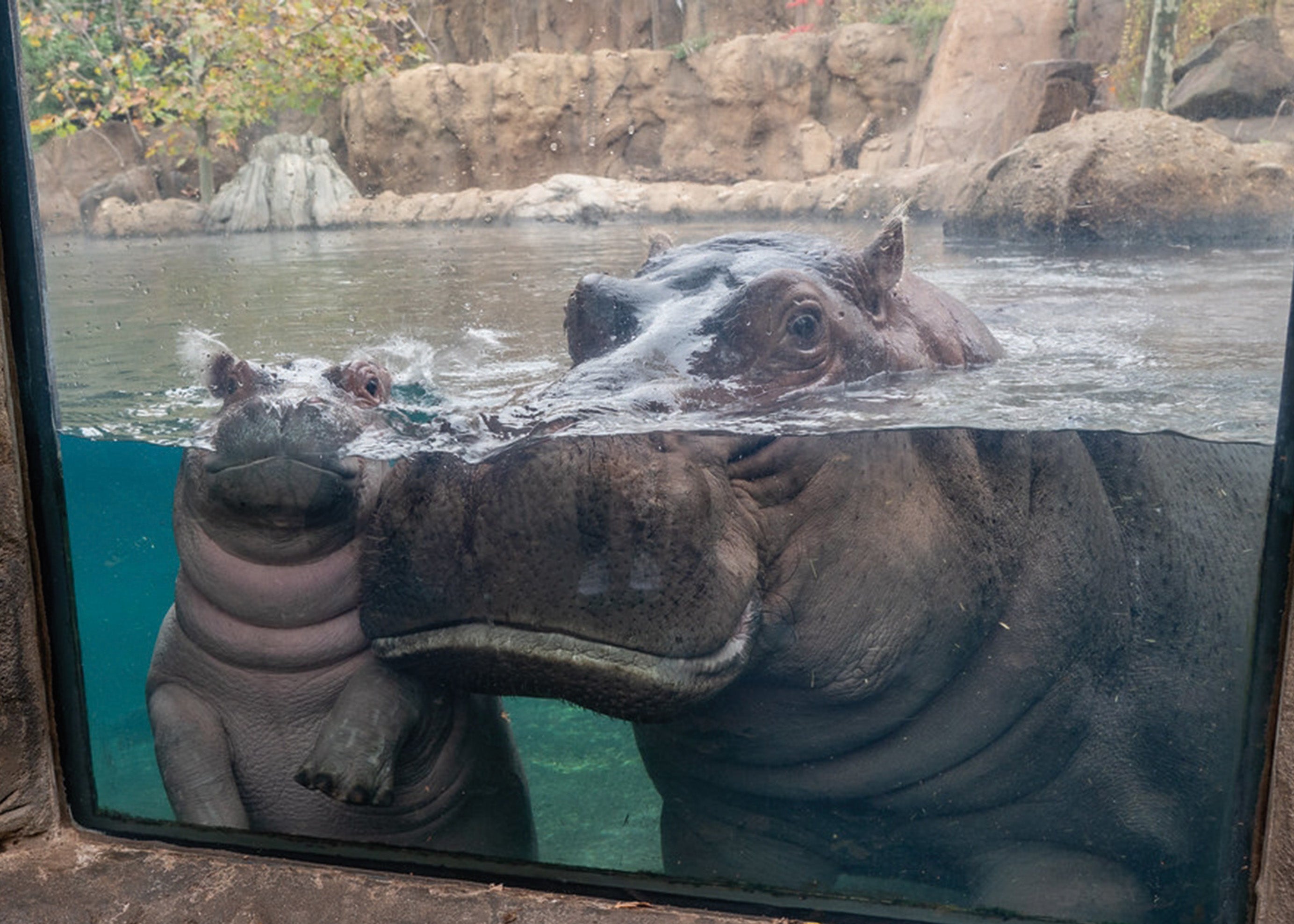 Worth the weight | Ohio Cooperative Living